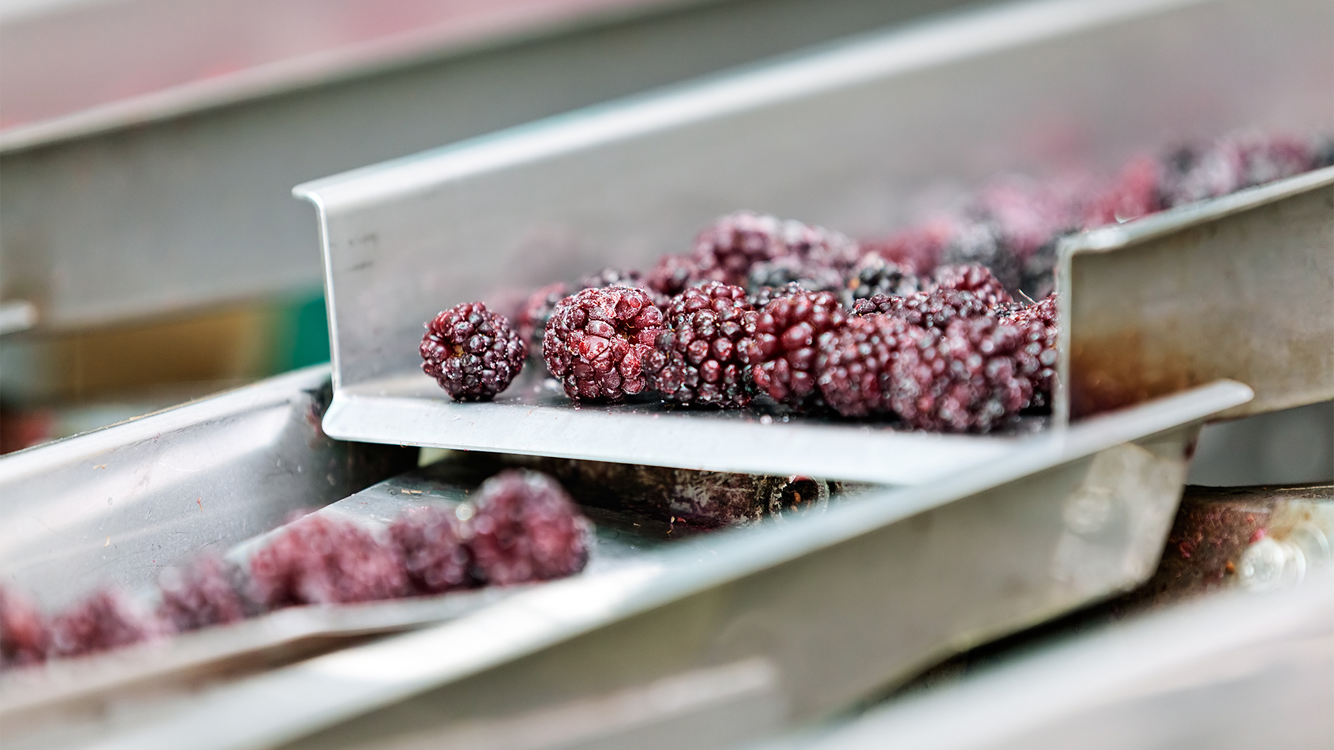 About AFFI - AFFI - American Frozen Food Institute